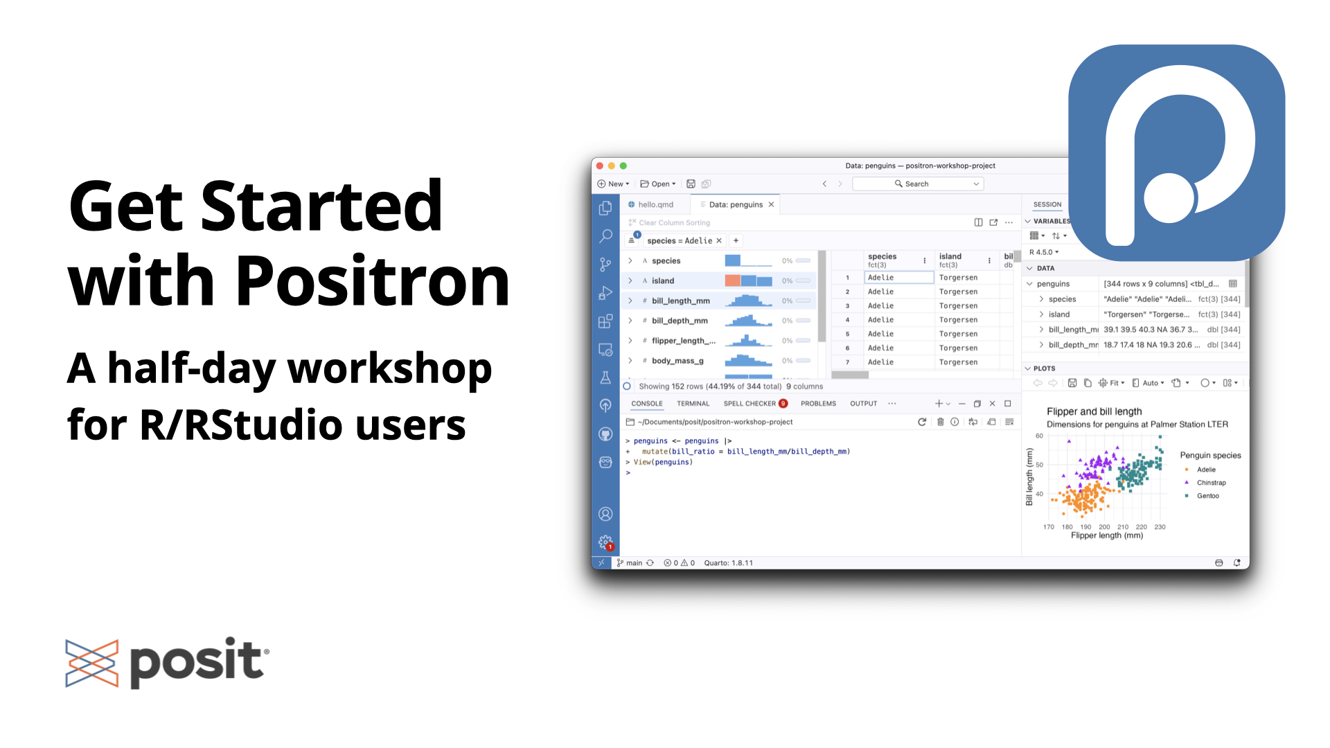 Setup – Getting Started with Positron